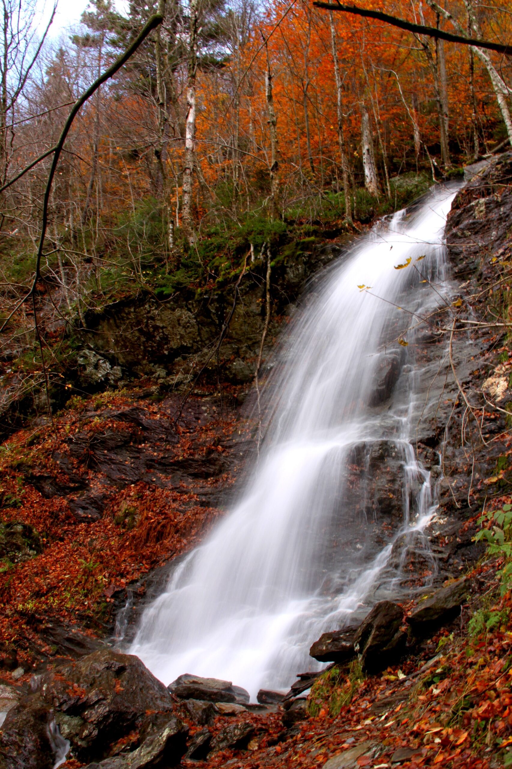 Mount Greylock - Explore Adams